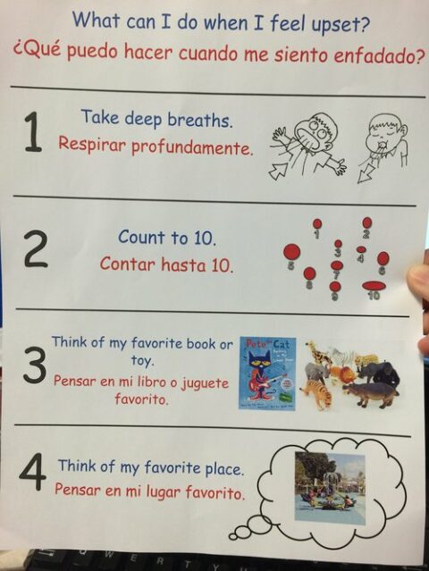 Setting the Record Straight on Social-Emotional Learning: A Teacher's ...